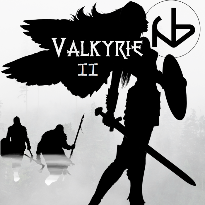 Valkyrie II Irish Stout